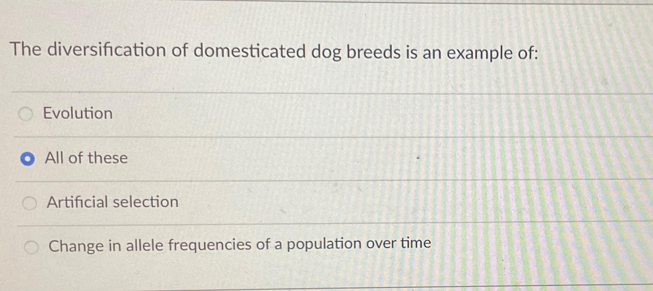 Solved The diversification of domesticated dog breeds is an | Chegg.com