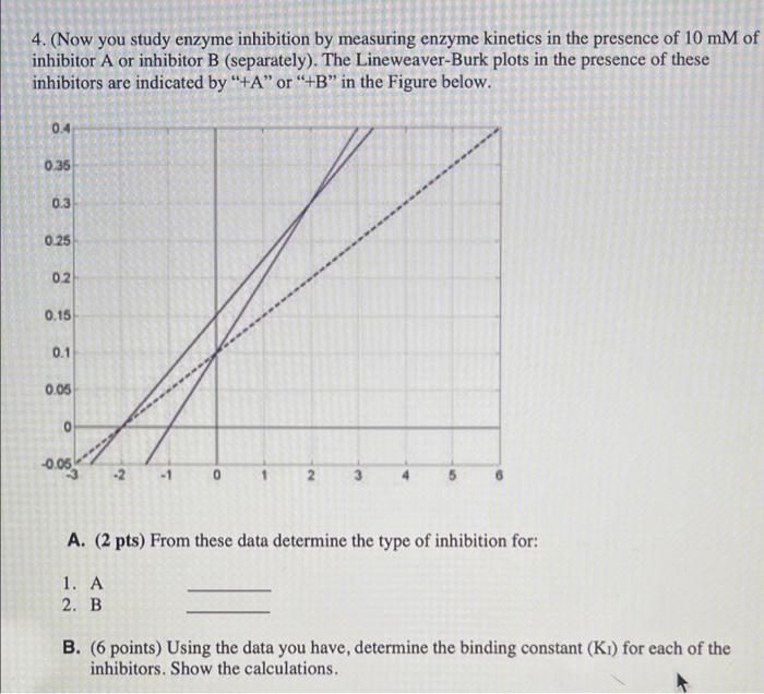 4. (Now you study enzyme inhibition by measuring | Chegg.com
