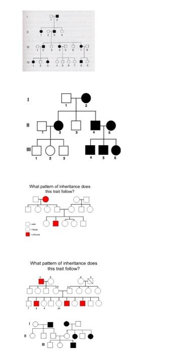 Solved What pattern of inheritance does this trait follow? | Chegg.com Solved What pattern of inheritance does this trait follow? | Chegg.com