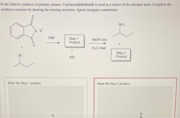 In The Gabriel Synthesis Of Primary Amines Solved In The Gabriel