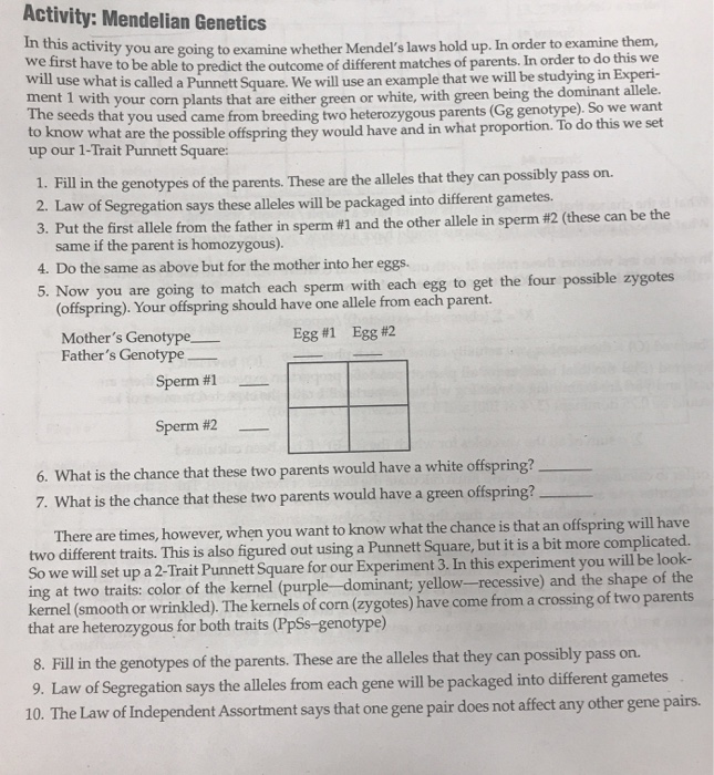 Solved Activity: Mendelian Genetics In this activity you are | Chegg.com