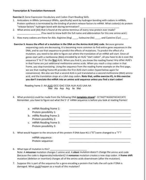 Solved Transcription & Translation Homework Exercise 2: Gene | Chegg.com