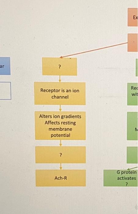 Solved Receptor is an ion channel Alters ion gradients | Chegg.com