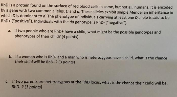 Solved RhD is a protein found on the surface of red blood | Chegg.com