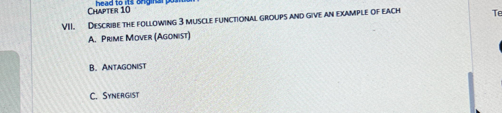 Solved VII. DESCRIBE THE FOLLOWING 3 ﻿MUSCLE FUNCTIONAL | Chegg.com