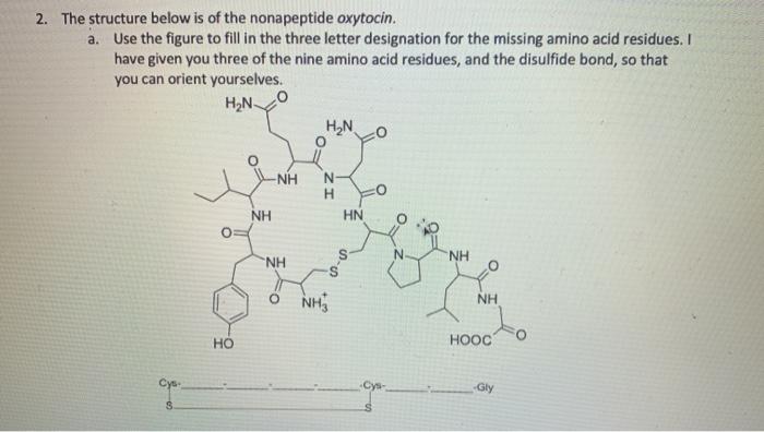 Solved 2. The structure below is of the nonapeptide | Chegg.com