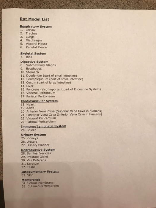 Solved Rat Model List Respiratory System 1. Larynx 2. | Chegg.com