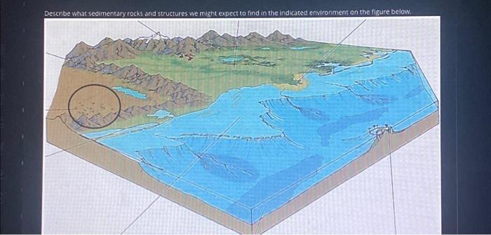 Solved Describe what sedimentary rocks and structures we | Chegg.com