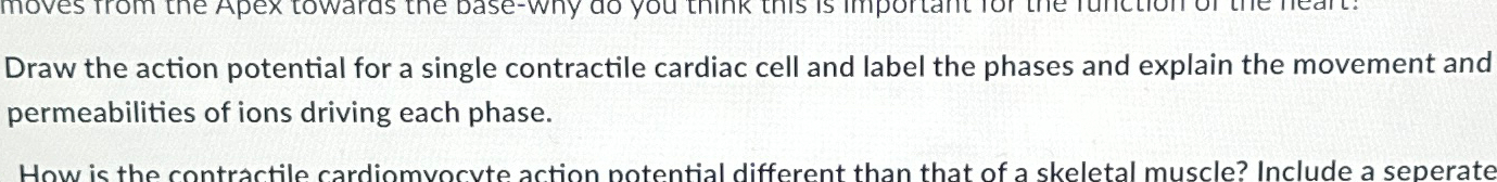 Solved Draw the action potential for a single contractile | Chegg.com