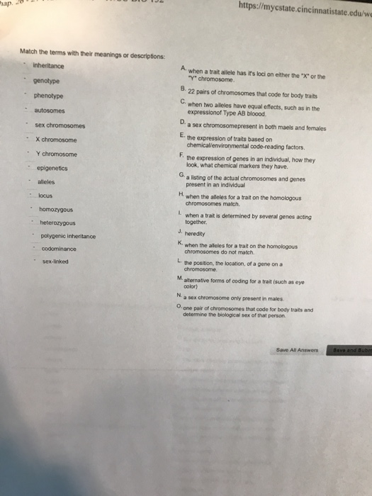 Solved map. 11 https://mycstate.cincinnatistate.edu/we Match | Chegg.com