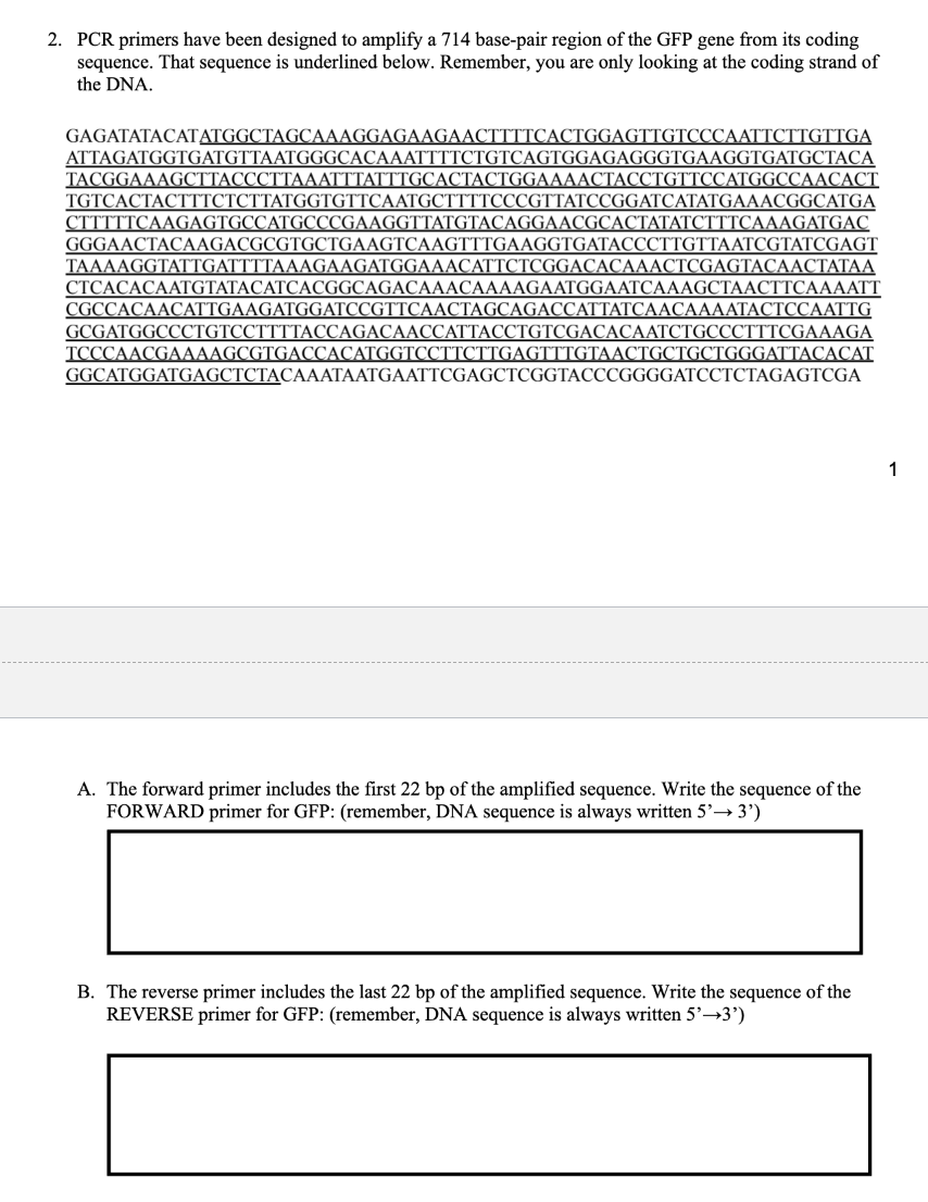 Solved PCR primers have been designed to amplify a 714 | Chegg.com