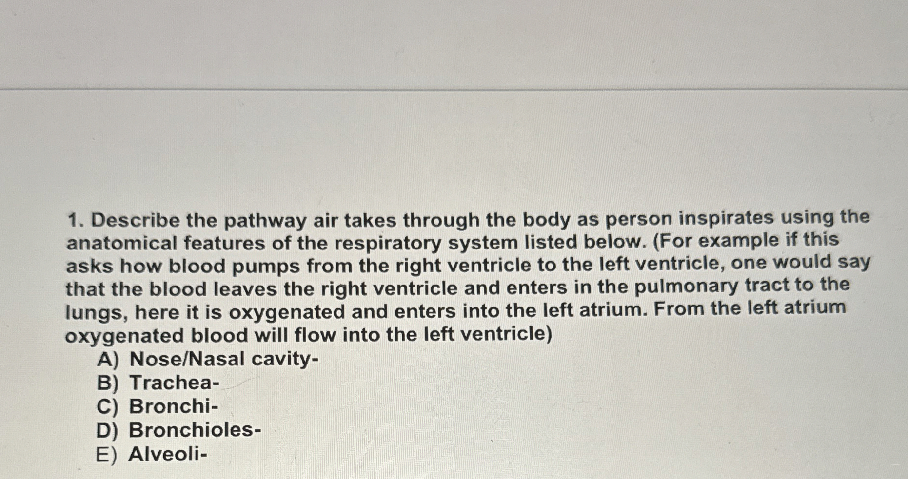 Solved Describe the pathway air takes through the body as | Chegg.com