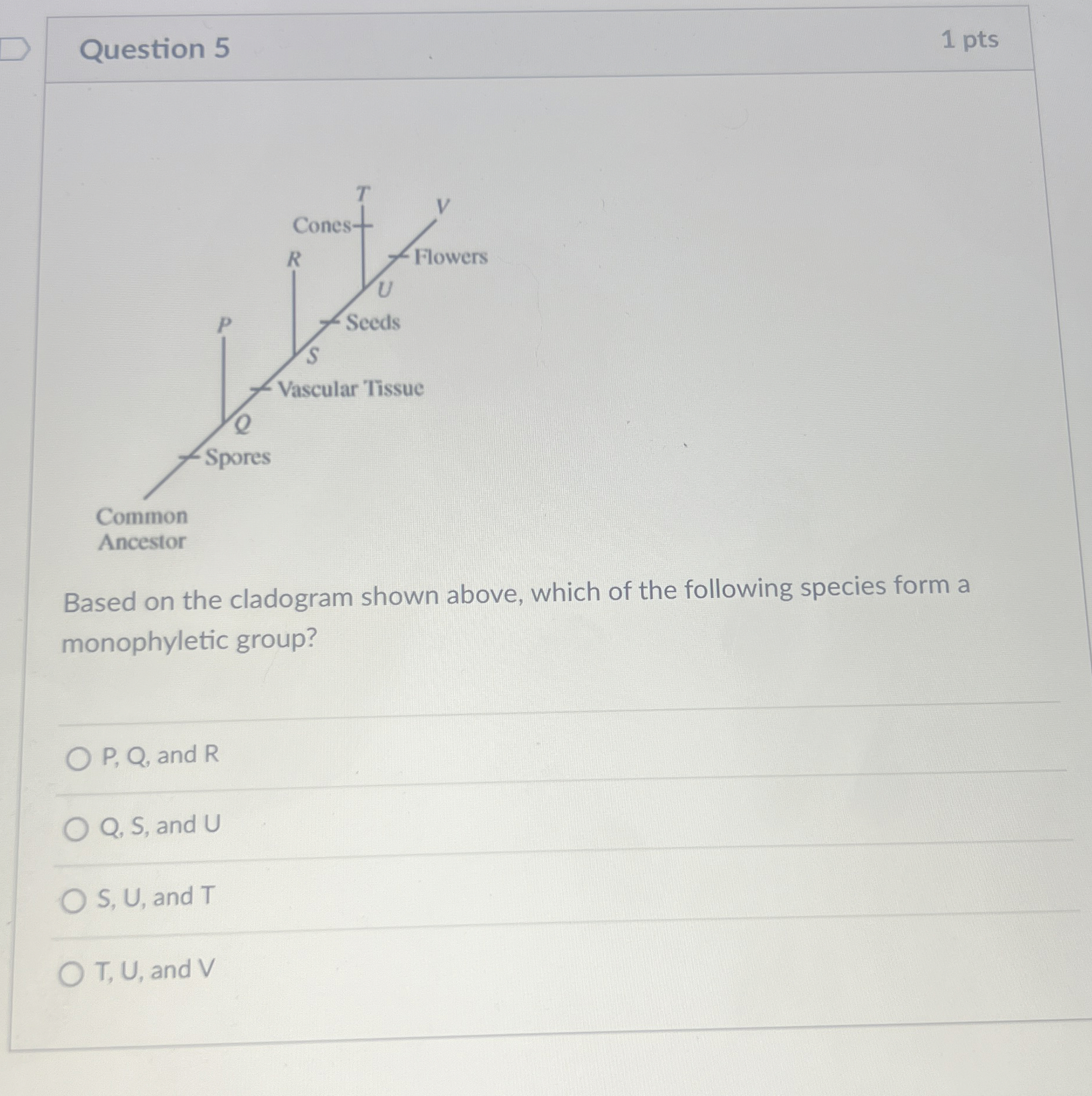 Solved Question 51 ﻿ptsBased on the cladogram shown above, | Chegg.com
