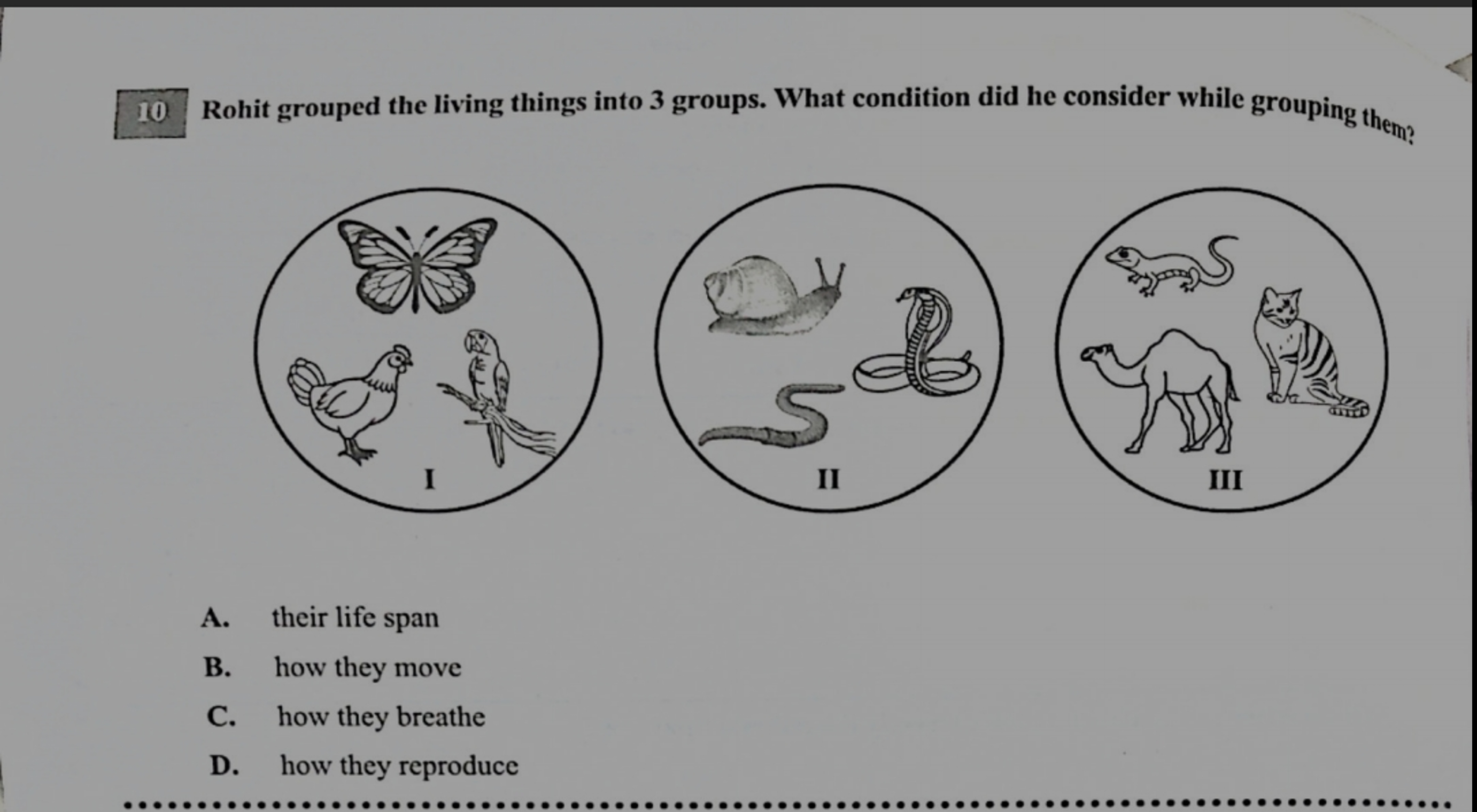 Solved Rohit grouped the living things into 3 ﻿groups. What | Chegg.com