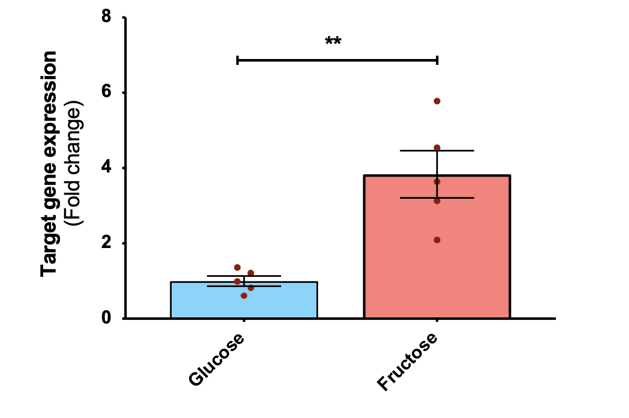 Solved Use the fold change values to plot graphsYou can | Chegg.com