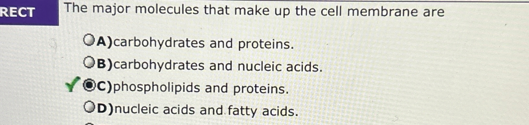 Solved The major molecules that make up the cell membrane | Chegg.com