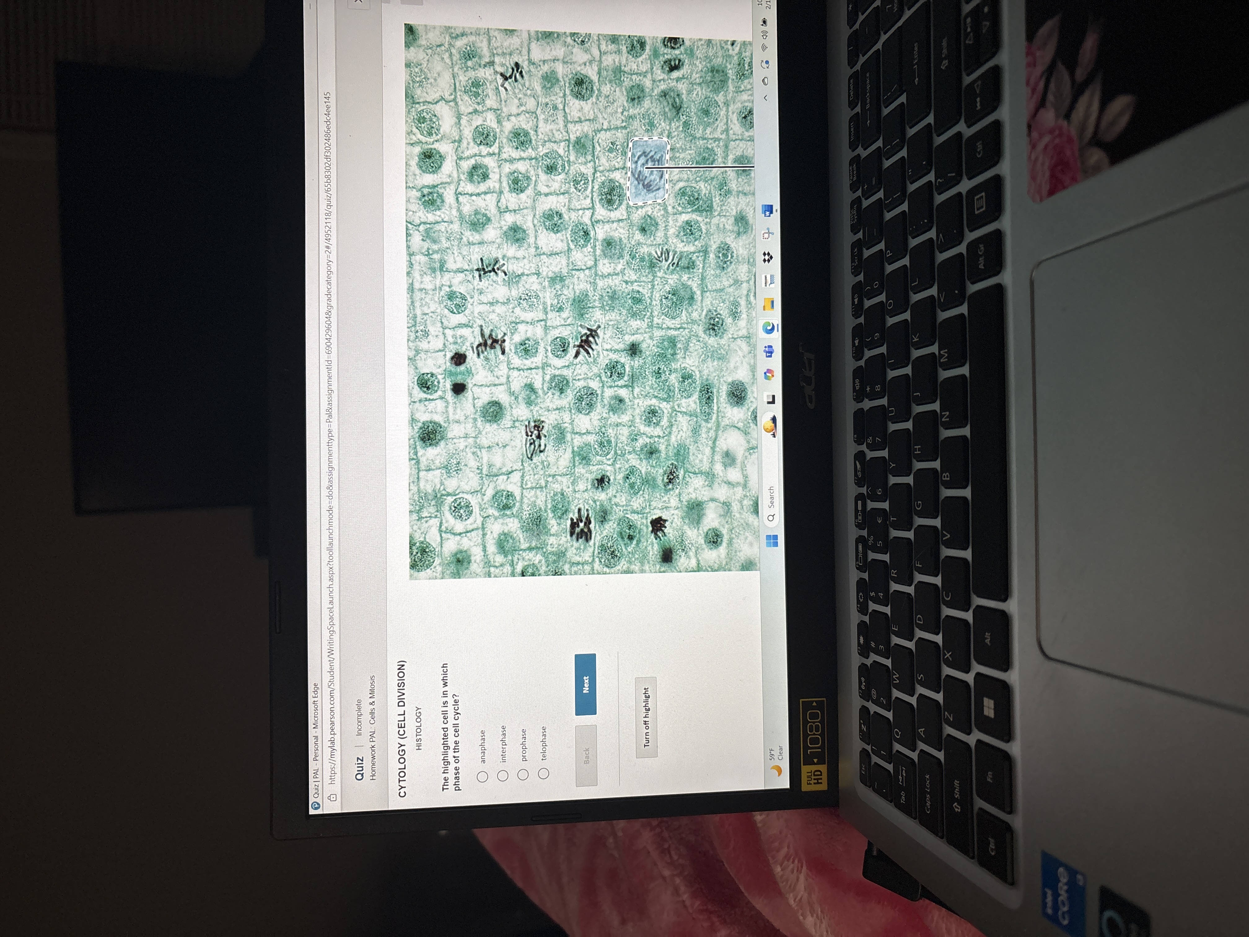 Solved code class="asciimath">Homework PAL: Cells & Mitosis | Chegg.com