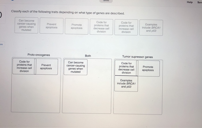 Solved Classify each of the following traits depending on | Chegg.com