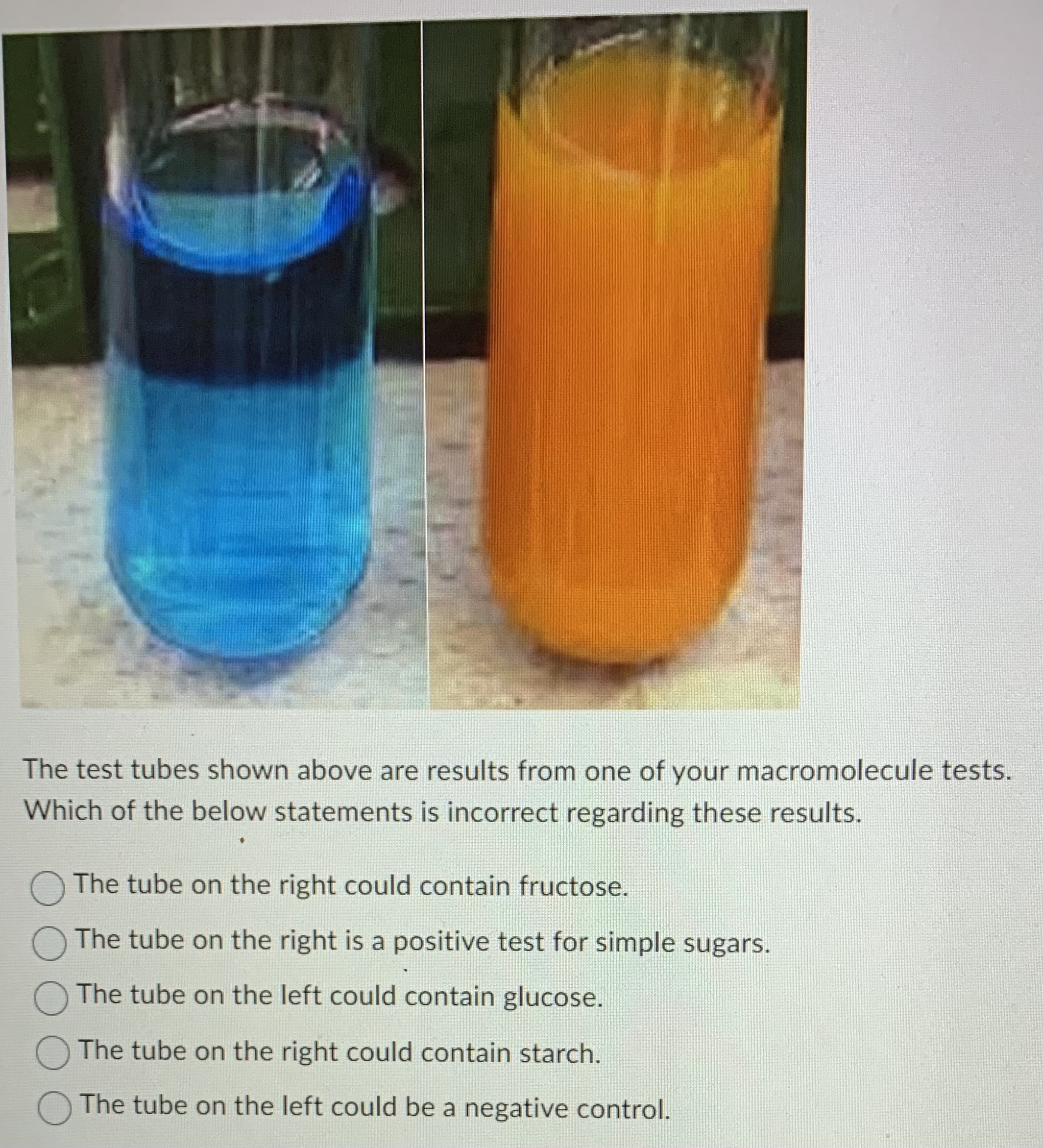 Solved The test tubes shown above are results from one of | Chegg.com