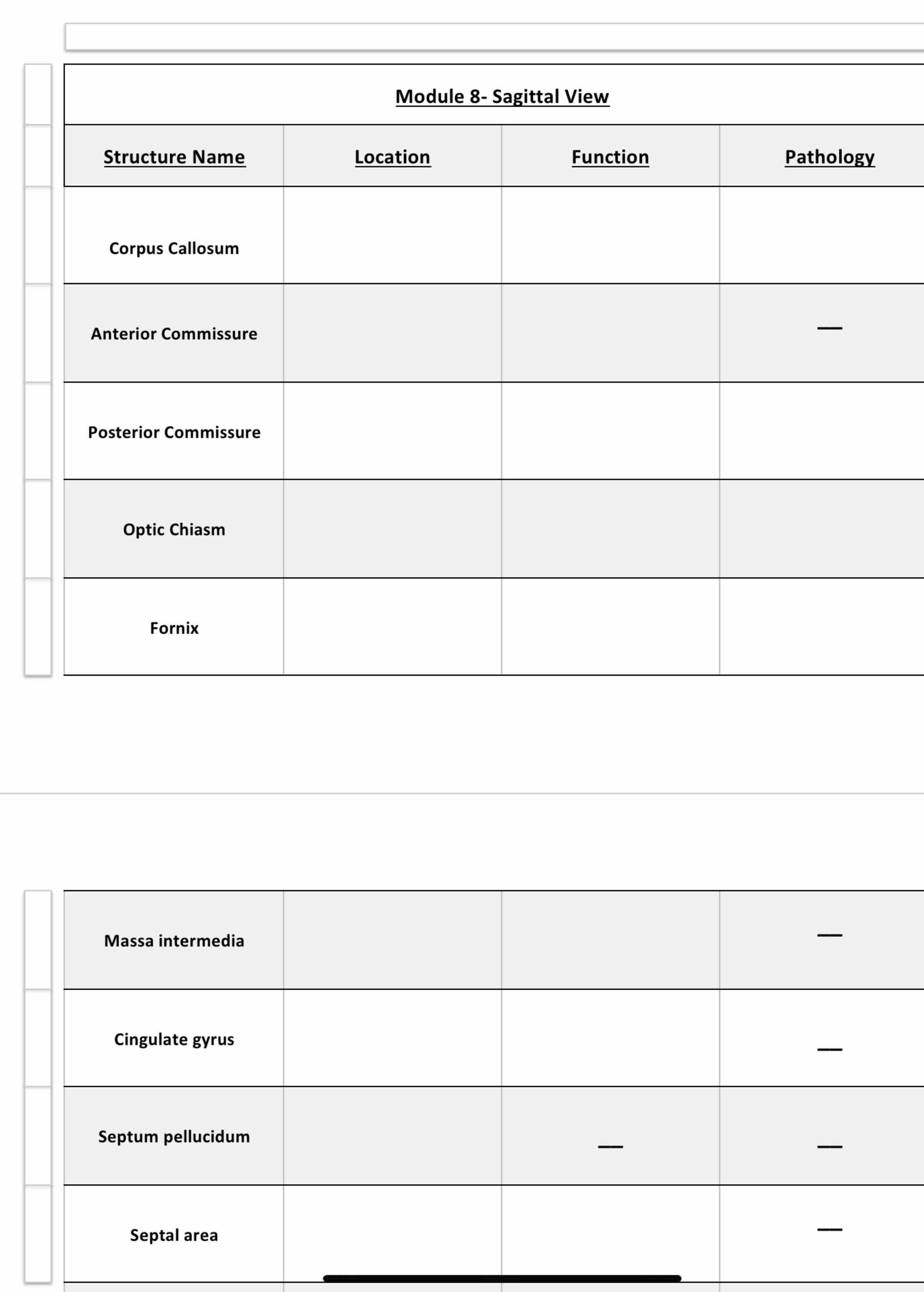 Solved Module 8-Sagittal View \begin{tabular}{|c|c|c|c} \ | Chegg.com