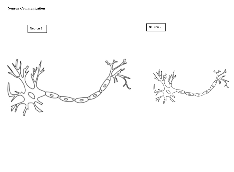 Solved 4. ﻿Label where the action potential (AP) ﻿is | Chegg.com
