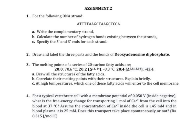 Solved ASSIGNMENT 2For the following DNA | Chegg.com