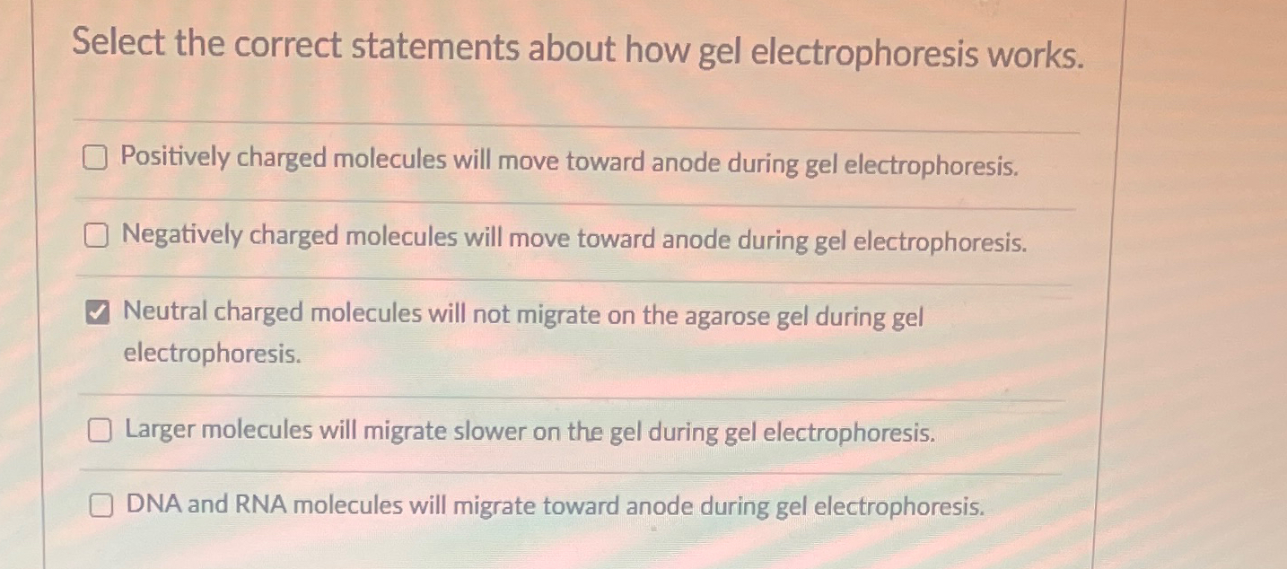 Solved Select the correct statements about how gel | Chegg.com