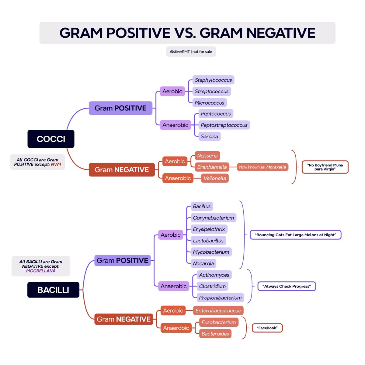 Solved GRAM POSITIVE VS. ﻿GRAM NEGATIVE All COCCl are Gram | Chegg.com