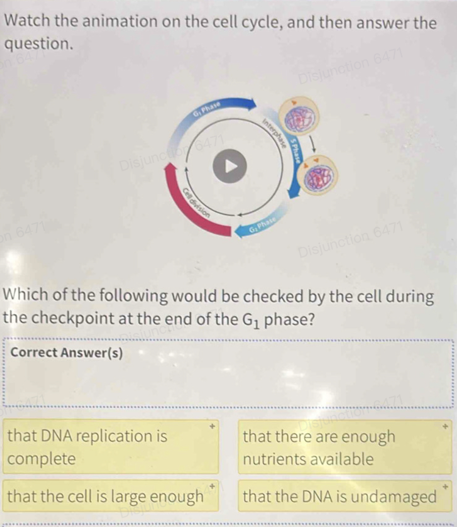Solved the checkpoint at the end of the \( ﻿G_{1} \) ﻿phase? | Chegg.com