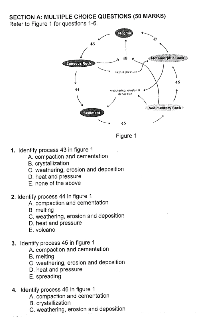 Solved SECTION A: MULTIPLE CHOICE QUESTIONS (50 ﻿MARKS) | Chegg.com
