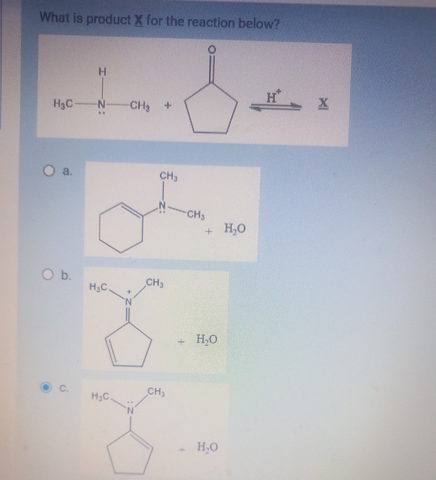 Solved What is product X for the reaction below?a.b.b.c. | Chegg.com