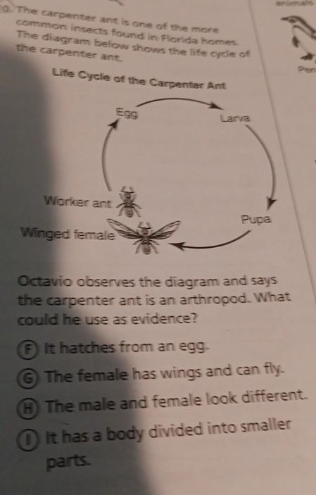Solved The carpenter ant is one of the more common insects | Chegg.com