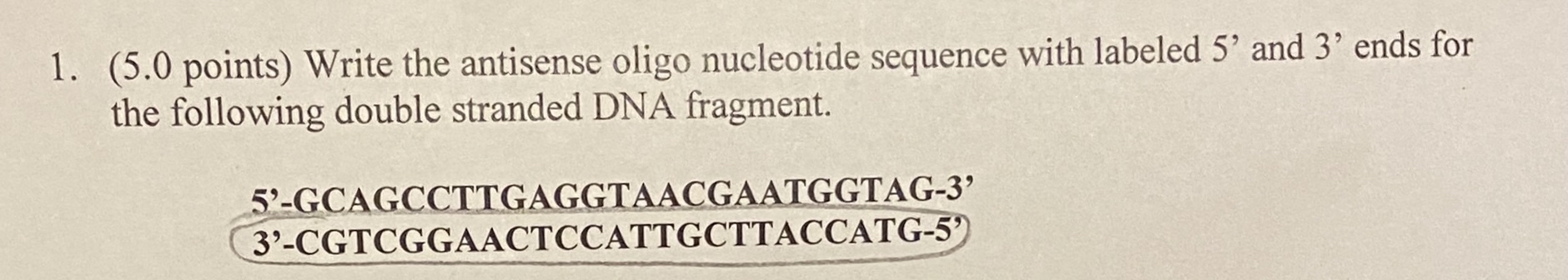 Solved (5.0 ﻿points) ﻿Write the antisense oligo nucleotide | Chegg.com
