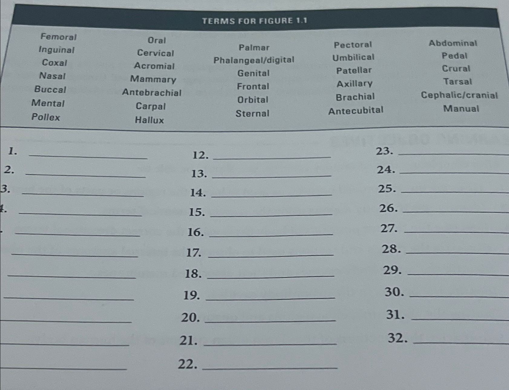 Solved \table[[TERMS FOR FIGURE | Chegg.com