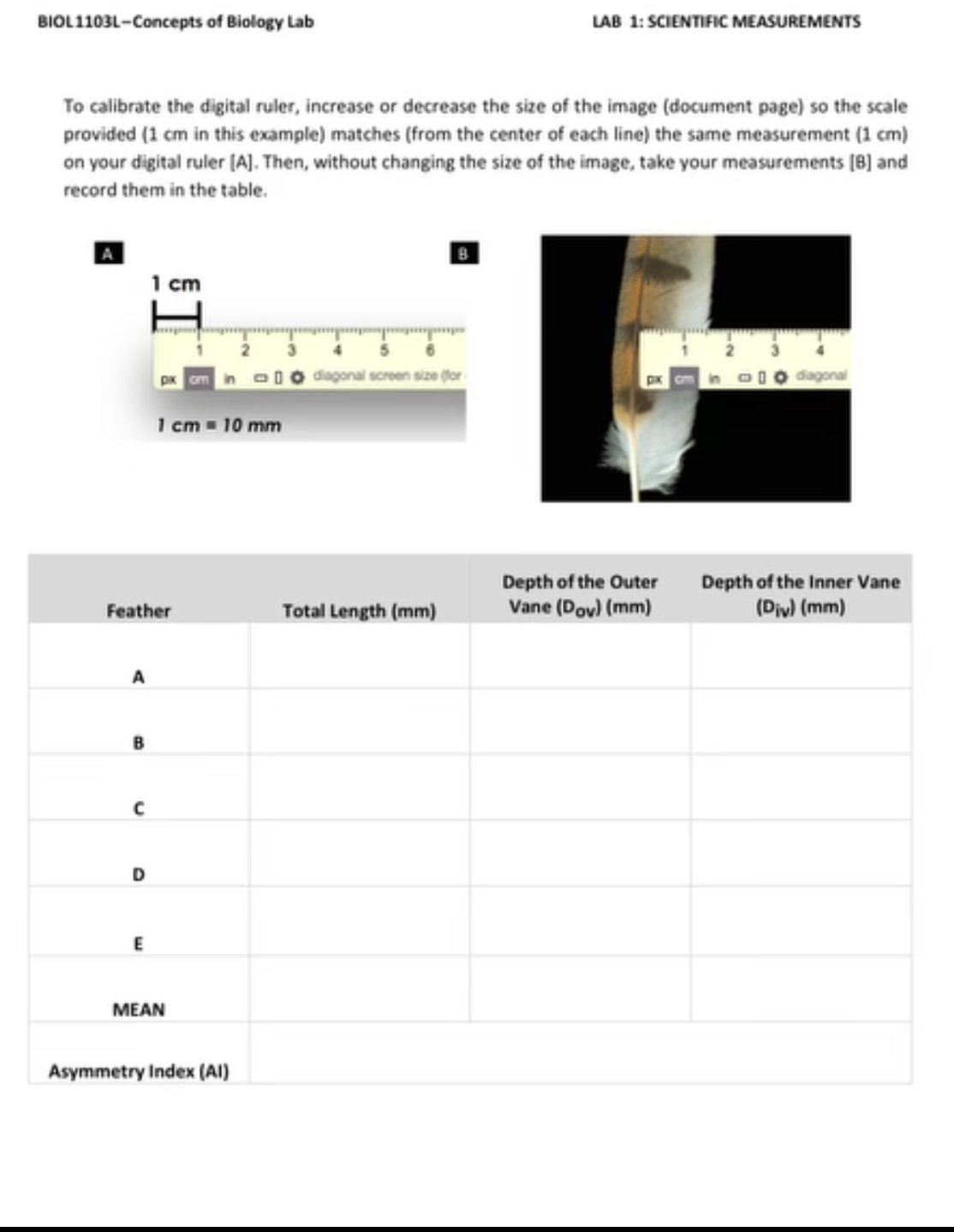 Solved To calibrate the digital ruler, increase or decrease | Chegg.com