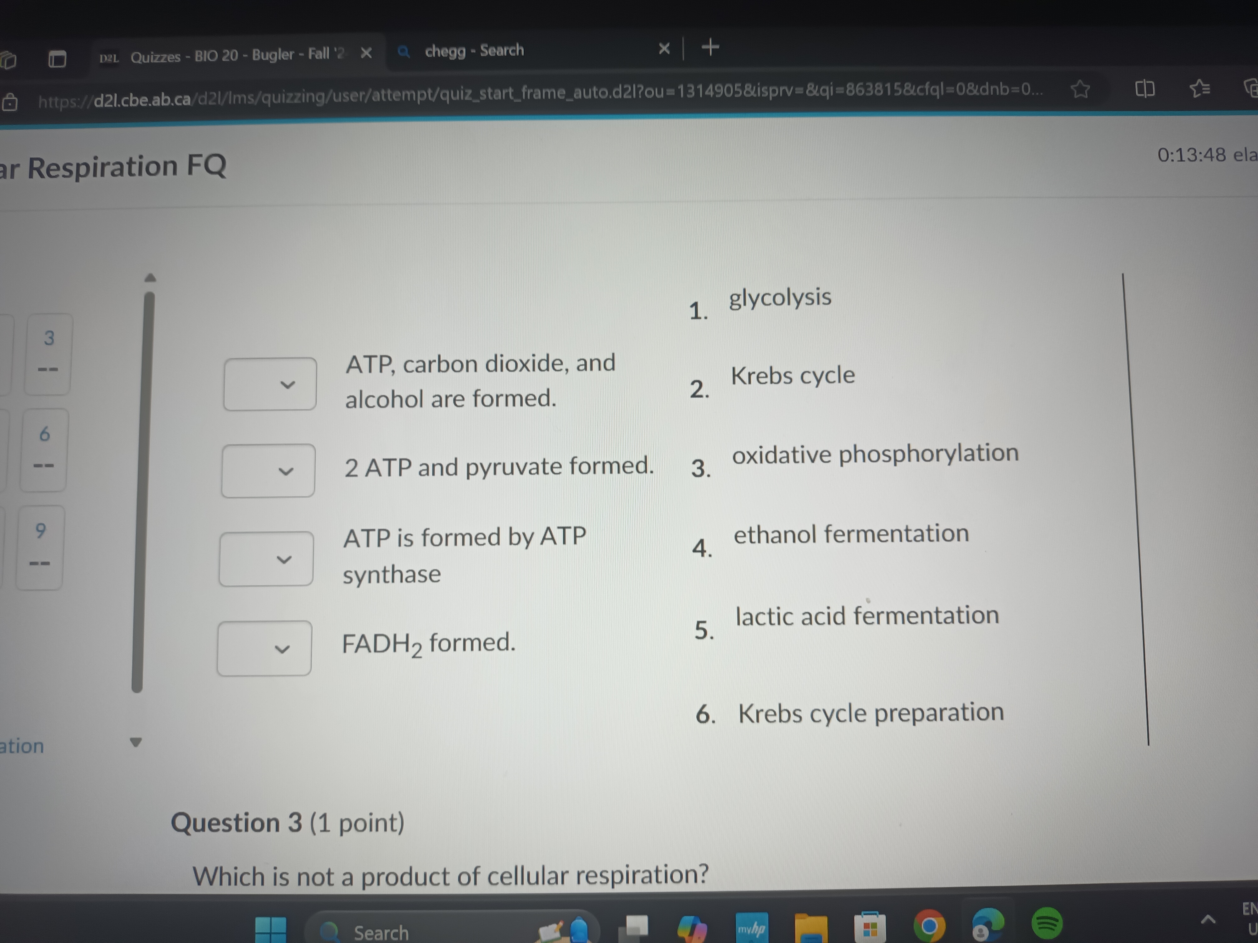 Solved glycolysis ATP, carbon dioxide, and Krebs cycle | Chegg.com