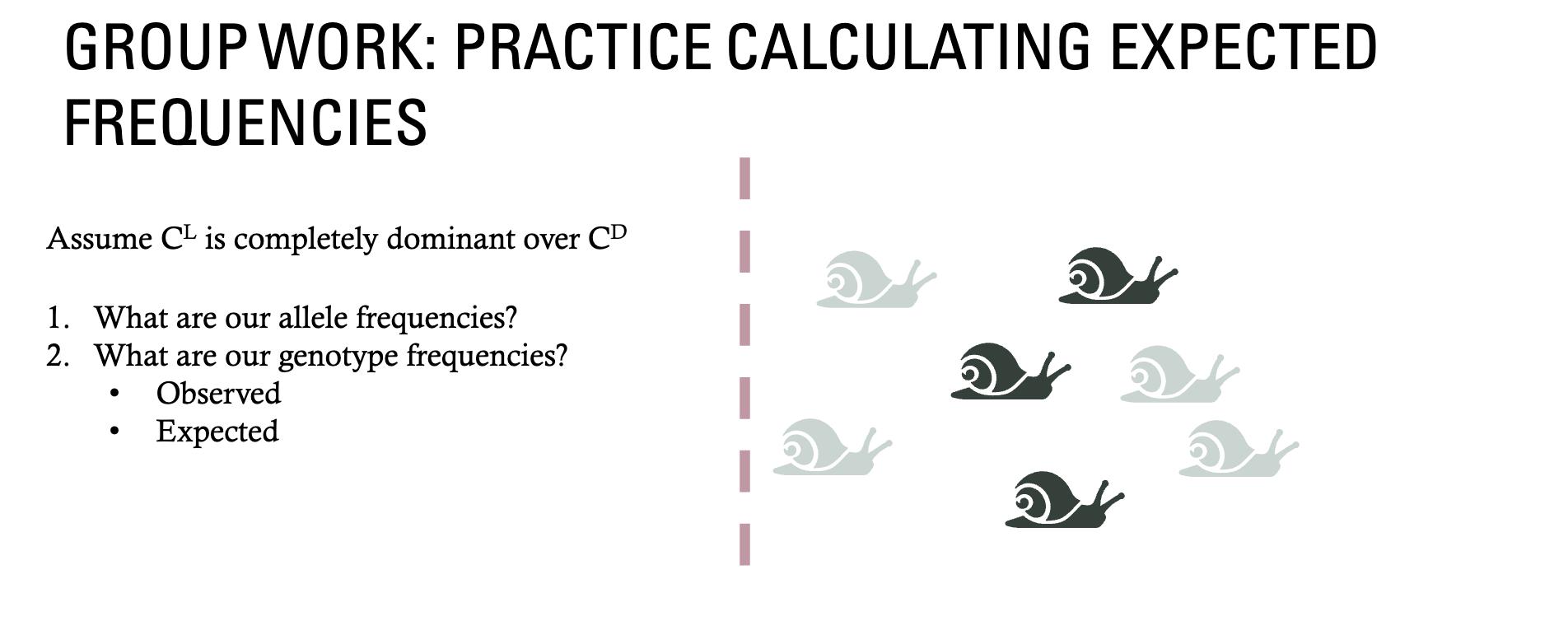 Solved GROUP WORK: PRACTICE CALCULATING EXPECTED FREQUENCIES | Chegg.com