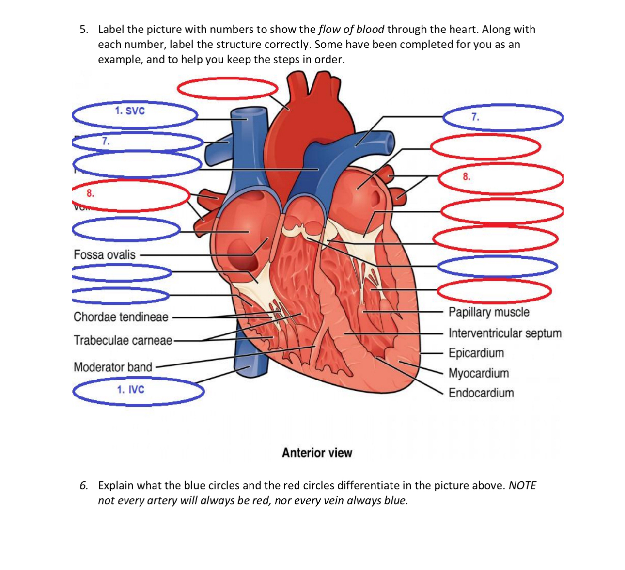 Solved Label the picture with numbers to show the flow of | Chegg.com