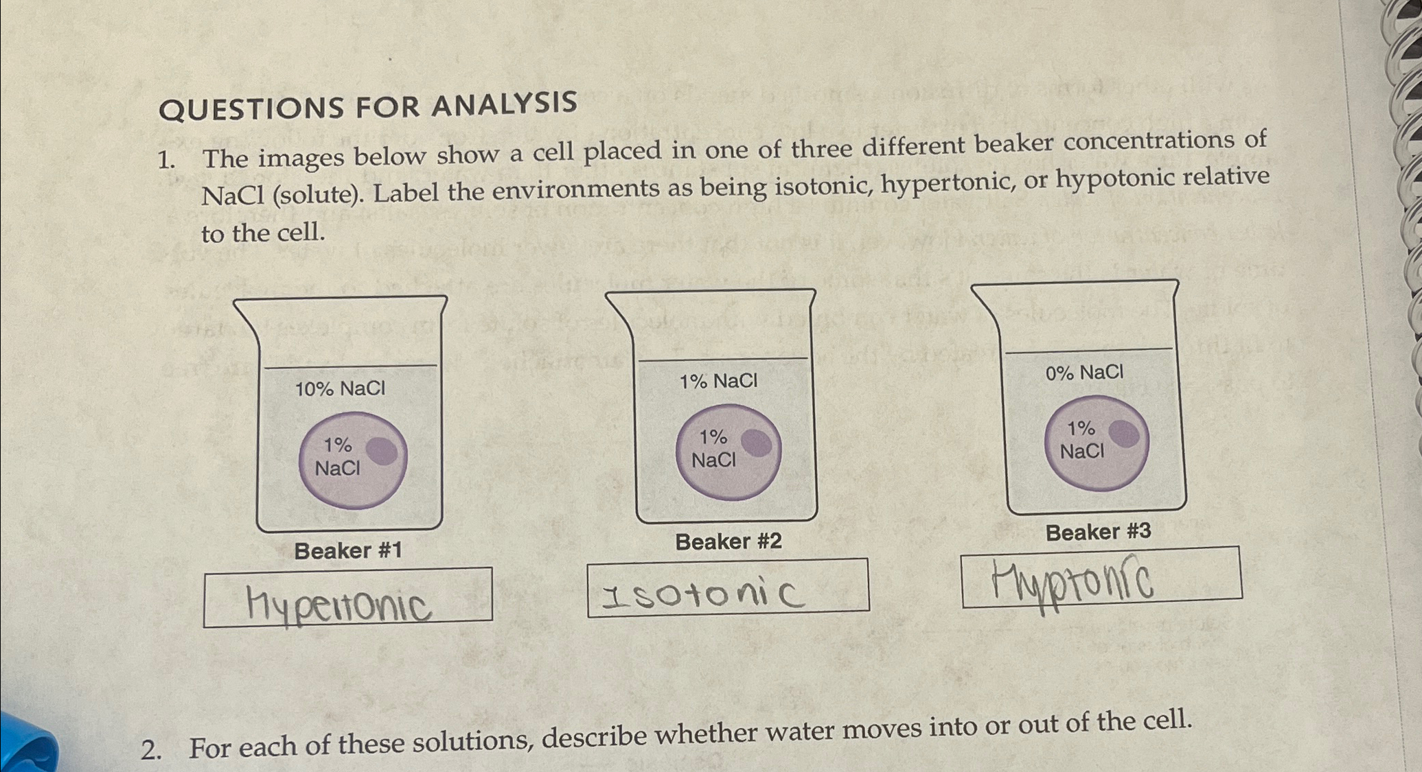Solved QUESTIONS FOR ANALYSIS The images below show a cell | Chegg.com