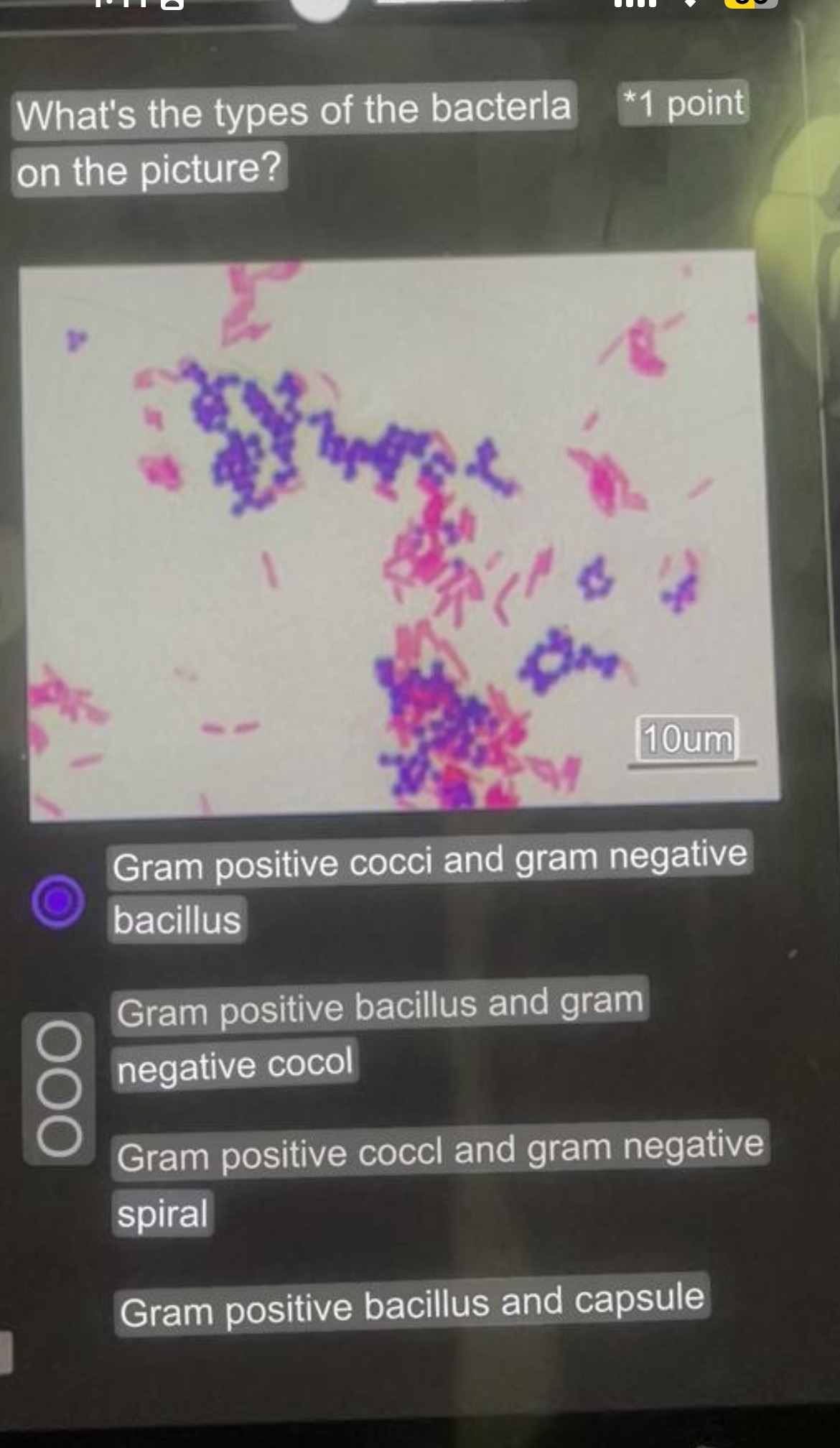 Solved What's the types of the bacterla on the picture? Gram | Chegg.com