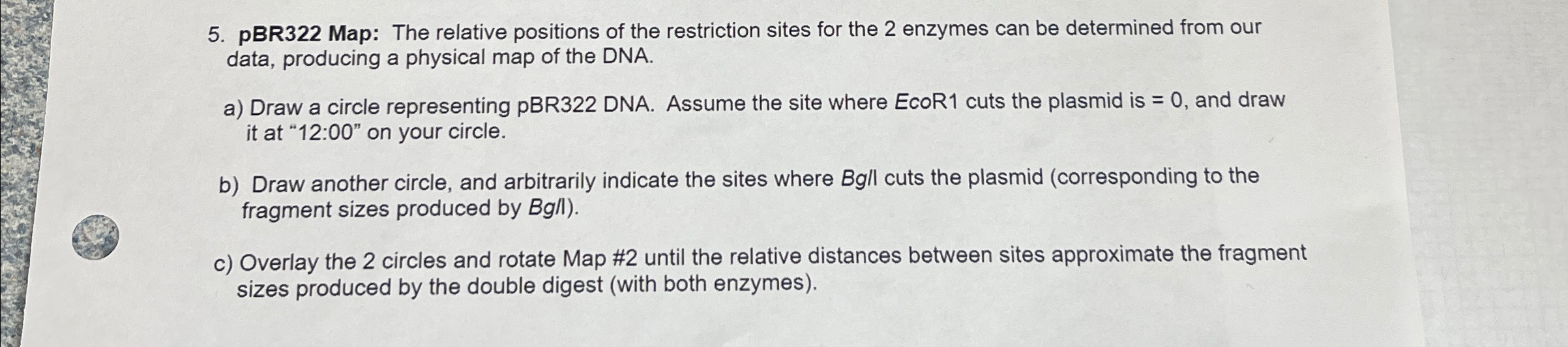 Solved pBR322 ﻿Map: The relative positions of the | Chegg.com