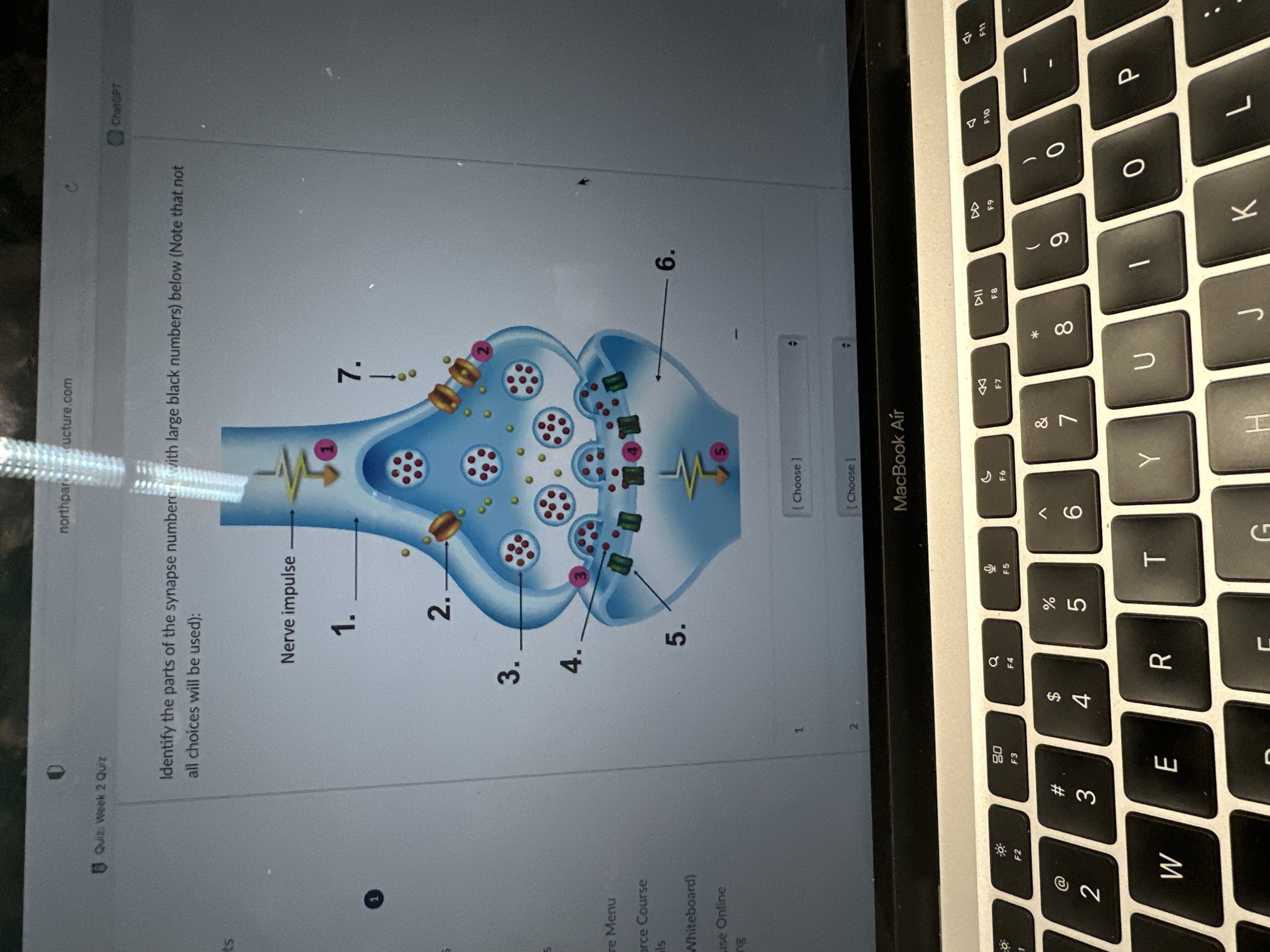 Solved northparsi fucture.com Quiz: Week 2 ﻿Quiz Identify | Chegg.com