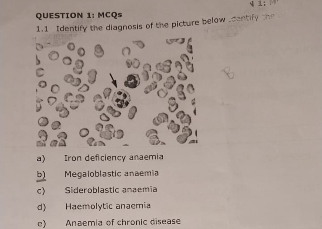 Solved QUESTION 1: MCQS1.1 ﻿Identify the diagnosis of the | Chegg.com