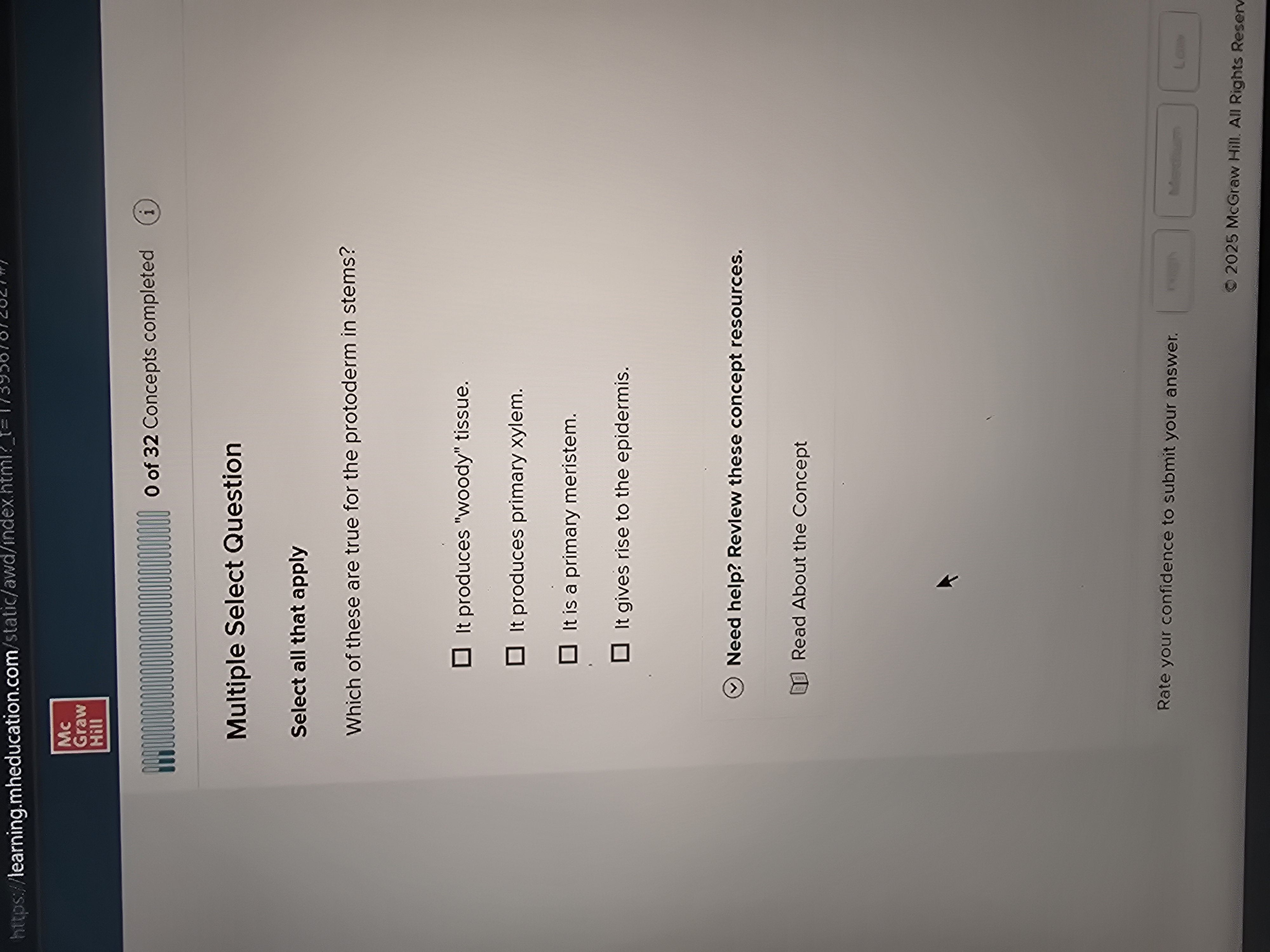 Solved Which of these are true for the protoderm in stems? | Chegg.com