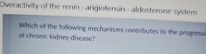 Solved Overactivity of the renin - ﻿angiotensin - | Chegg.com