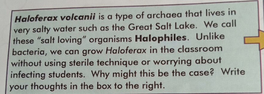 Solved Haloferax volcanii is a type of archaea that lives in | Chegg.com
