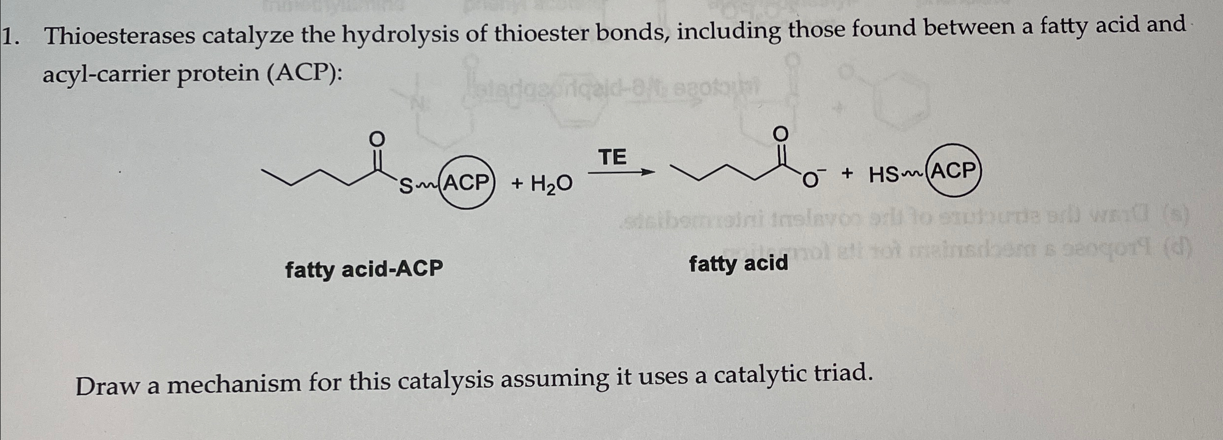 Solved Thioesterases catalyze the hydrolysis of thioester | Chegg.com