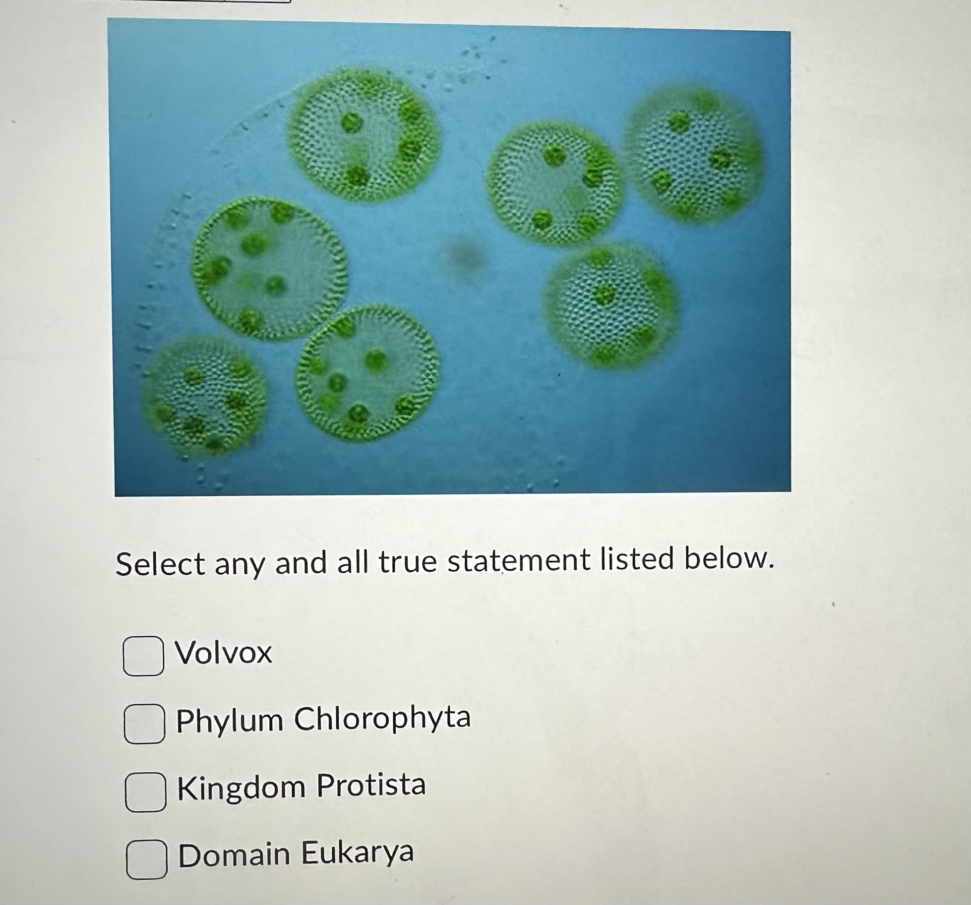 Solved Select any and all true statement listed below. | Chegg.com