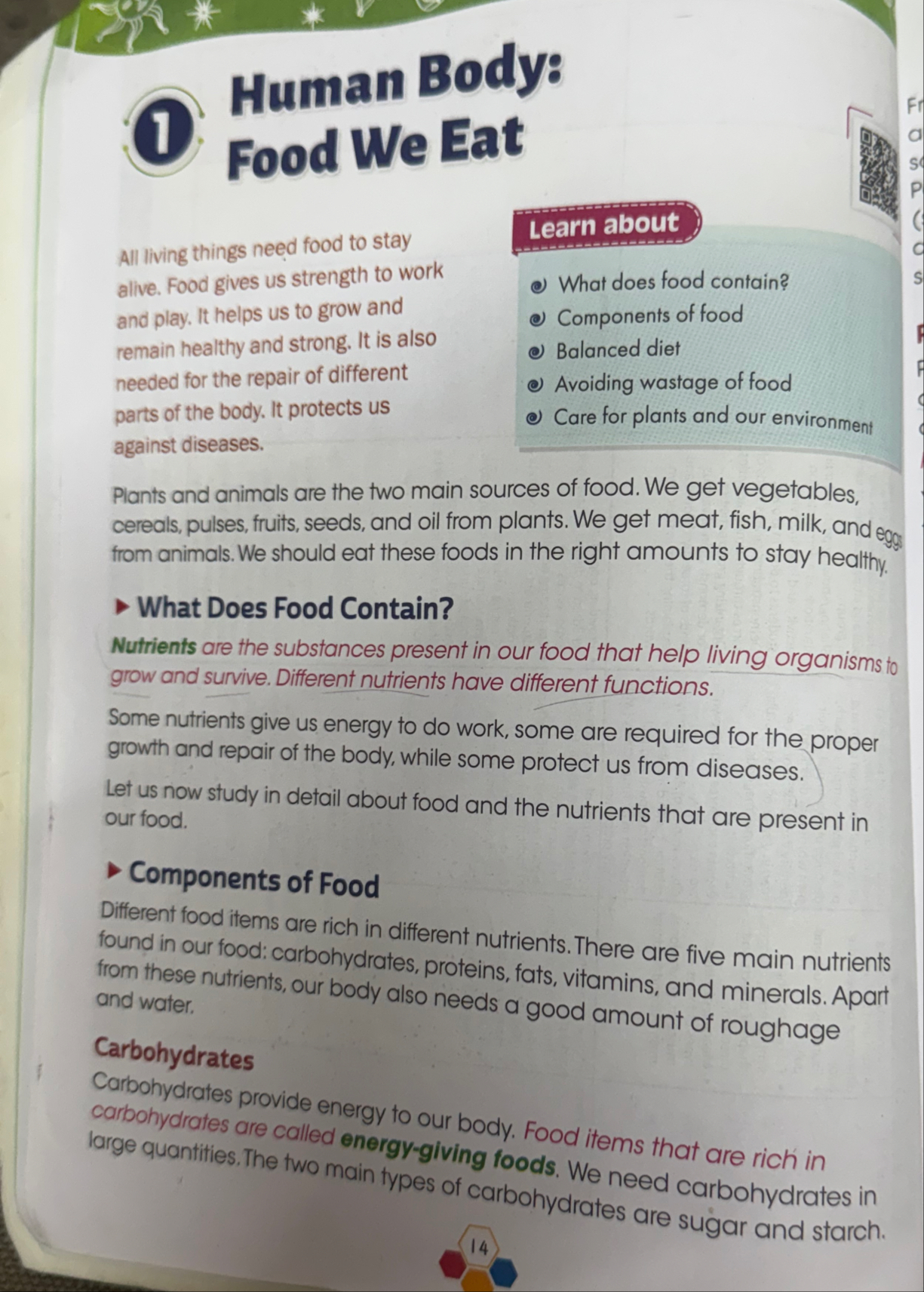 Solved Human Body: Food We EatAll living things need food to | Chegg.com