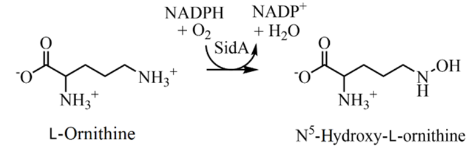 Solved Could you please explain the oxidation states for the | Chegg.com
